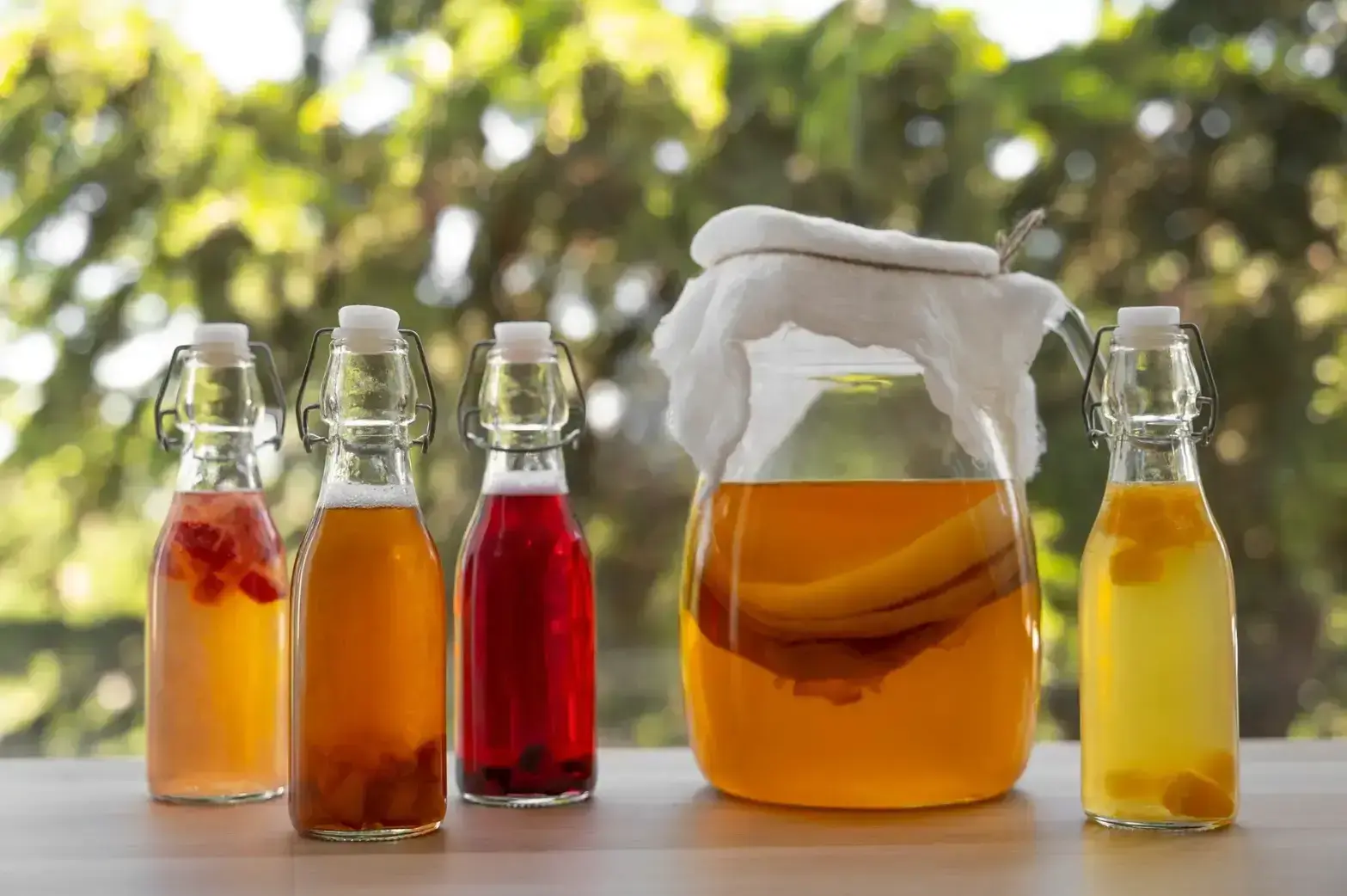 Tout savoir sur le kombucha | Nicolas TURBIN | Naturopathie & Hypnose
